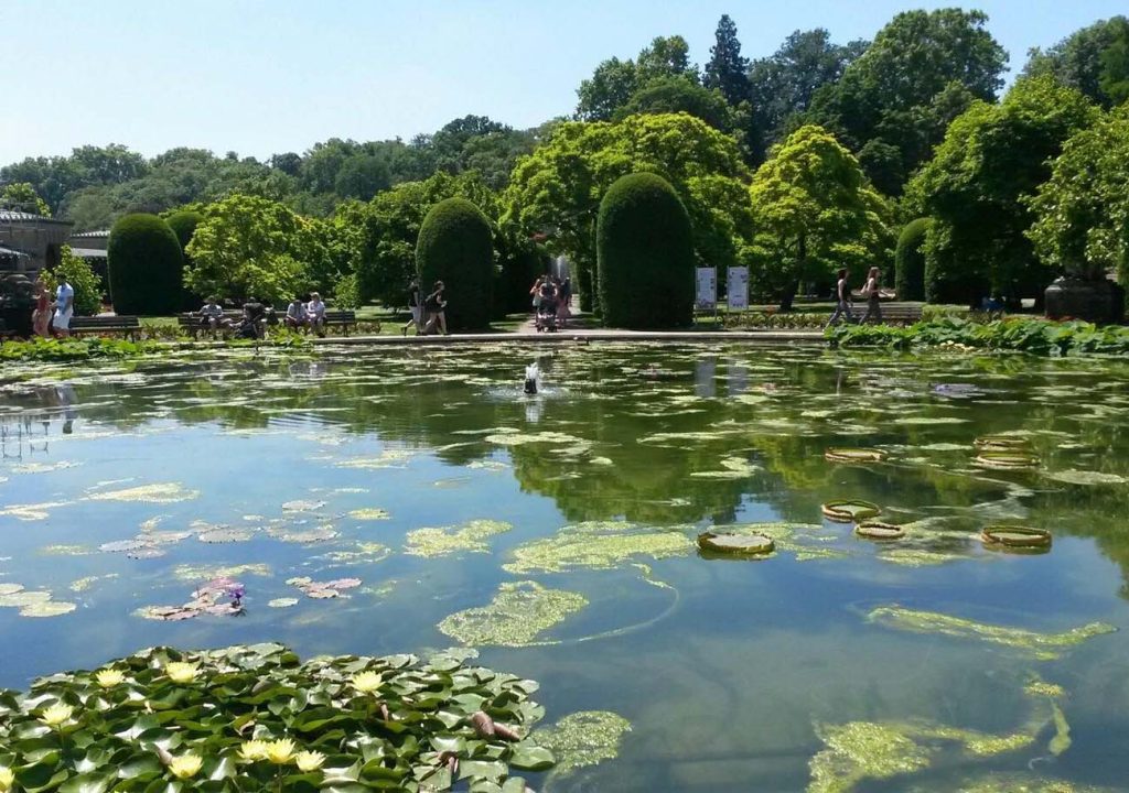 Explora la Naturaleza en Stuttgart: Un Paseo por sus Parques y Jardines ...